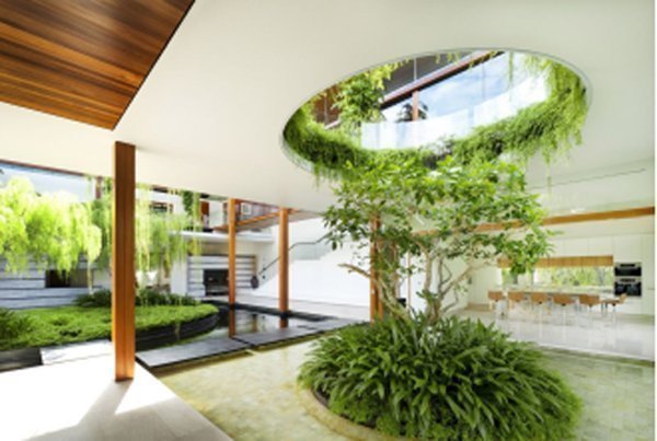 Planting Inside Home - What You Need To Know - Woman Blog